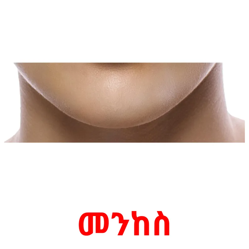 20 FREE Face Flashcards | PDF | Tigrigna Words