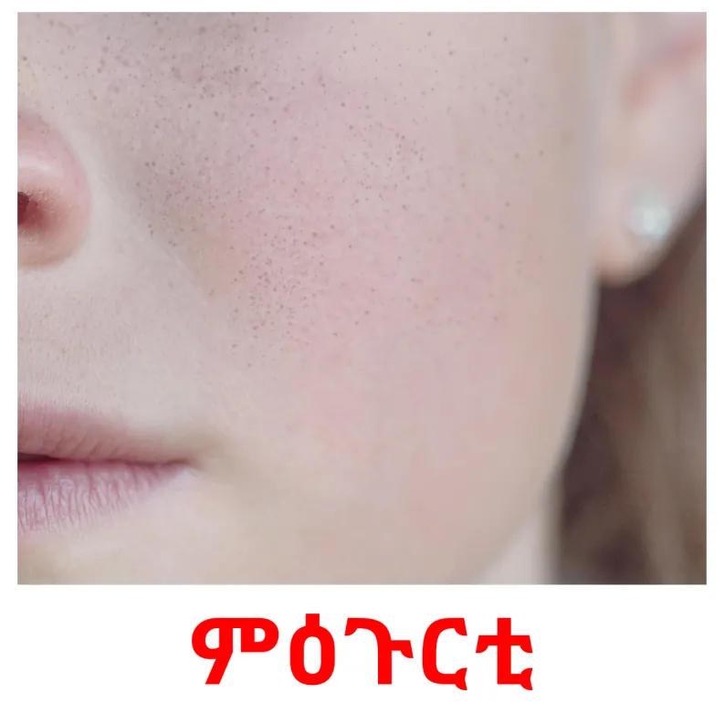 20 FREE Face Flashcards | PDF | Tigrigna Words