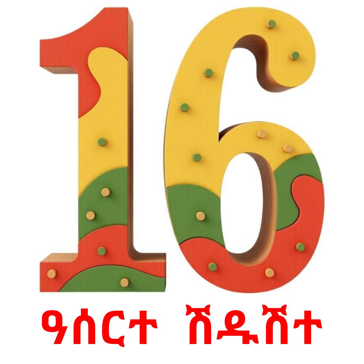 20 Printable Numbers (1-20) Flashcards in Tigrigna (Free PDF)
