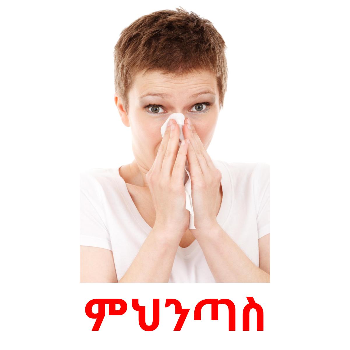 52 Printable Action verbs Flashcards in Tigrigna (Free PDF)