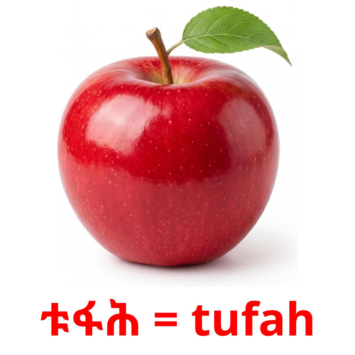 21 Printable Fruits Flashcards in Tigrigna (Free PDF)