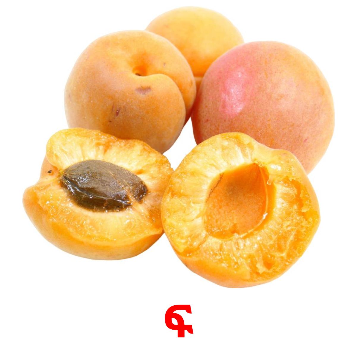 21 Printable Fruits Flashcards in Tigrigna (Free PDF)