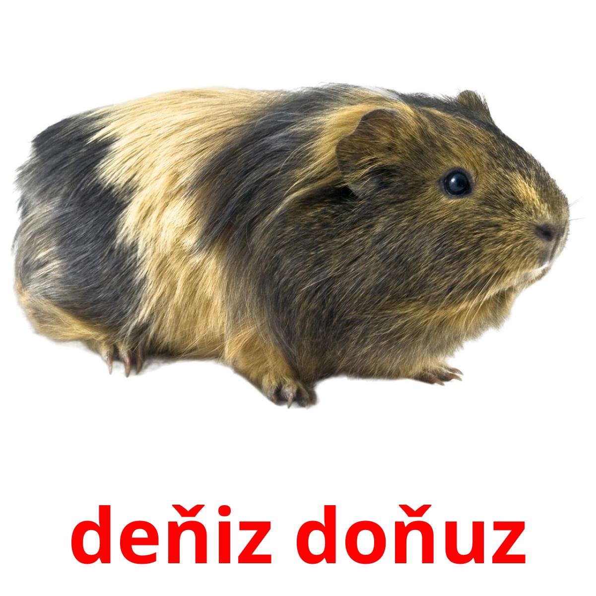 11 Printable Domestic animals Flashcards in Turkmen (Free PDF)