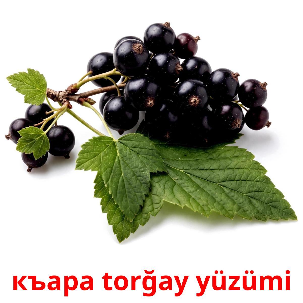 11 FREE Berries Flashcards | PDF | Turkmen Words