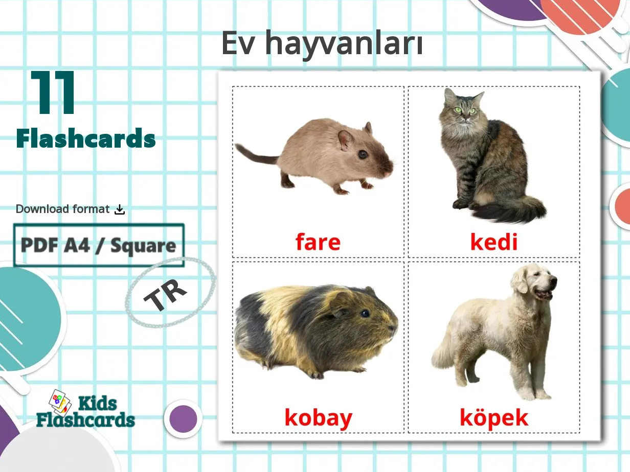 11 Printable Domestic animals Flashcards in Turkish (Free PDF)