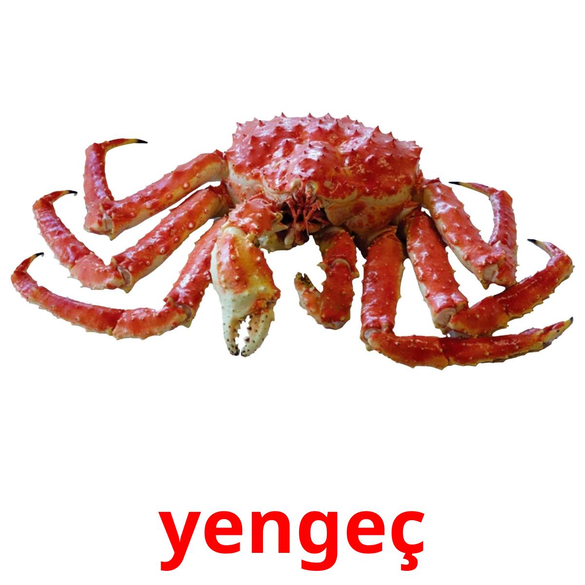 29 FREE Sea animals Flashcards | PDF | Turkish Words