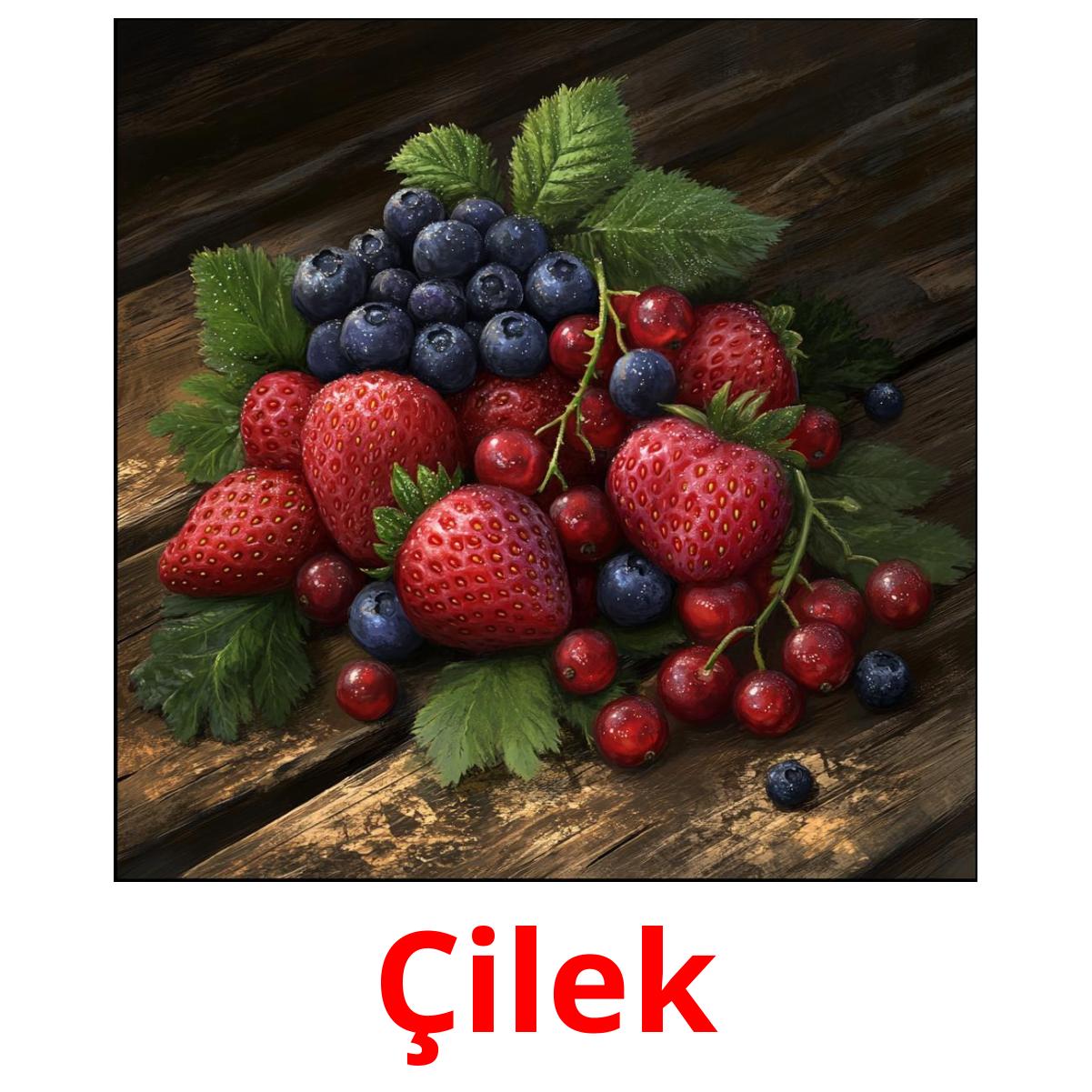 12 Printable Berries Flashcards in Turkish (Free PDF)
