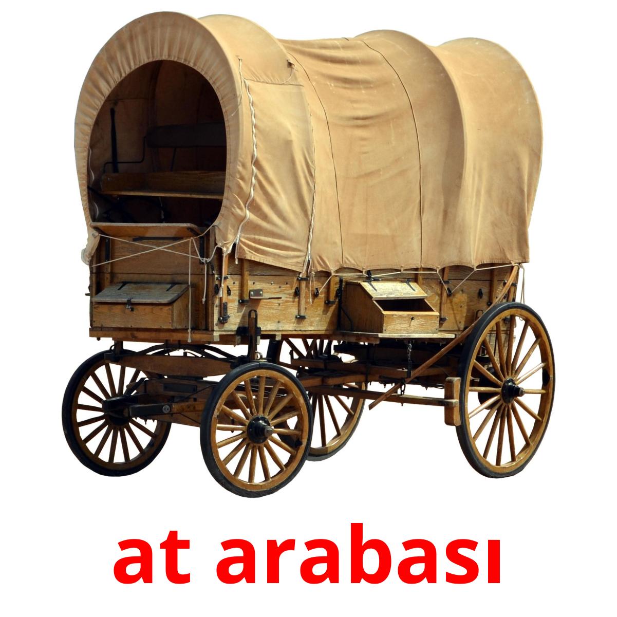 28 Printable Land transport Flashcards in Turkish (Free PDF)