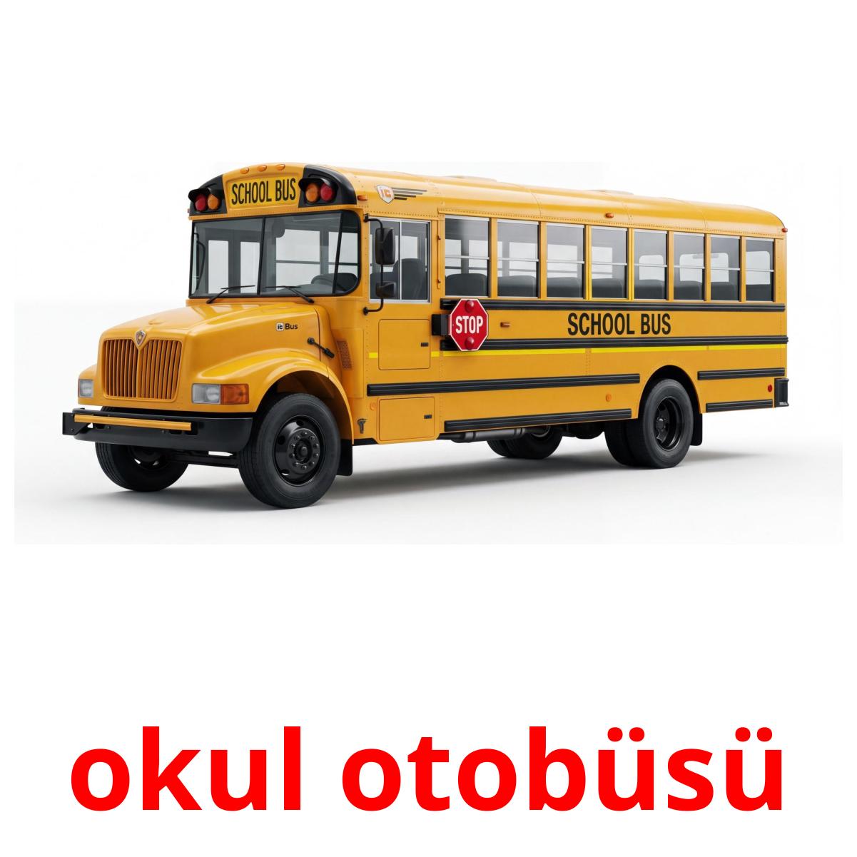 28 Printable Land transport Flashcards in Turkish (Free PDF)