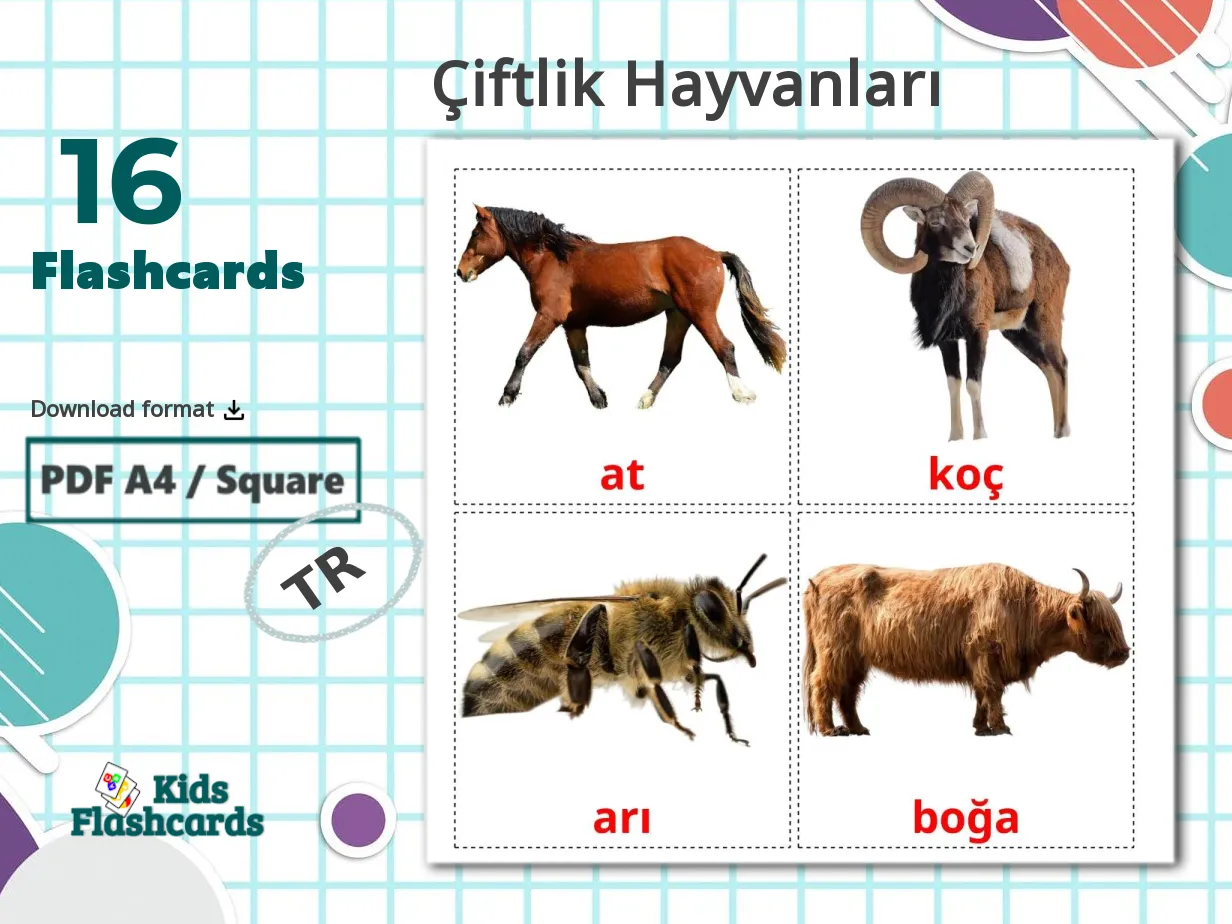 16 Printable Farm animals Flashcards in Turkish (Free PDF)