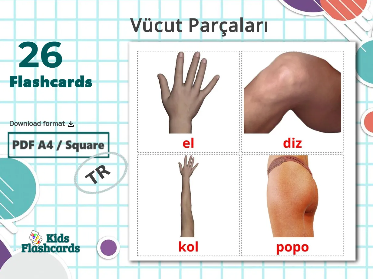 26 Printable Body Parts Flashcards in Turkish (Free PDF)