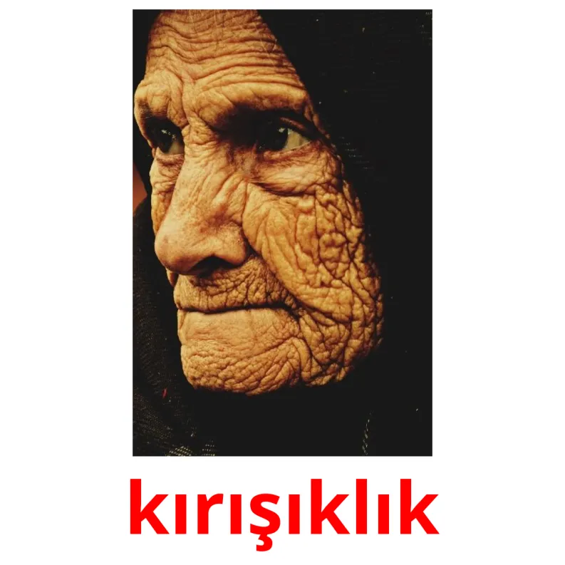 20 Cartões linguagem de Cara GRÁTIS em 4 formatos PDF | Turco Pictures