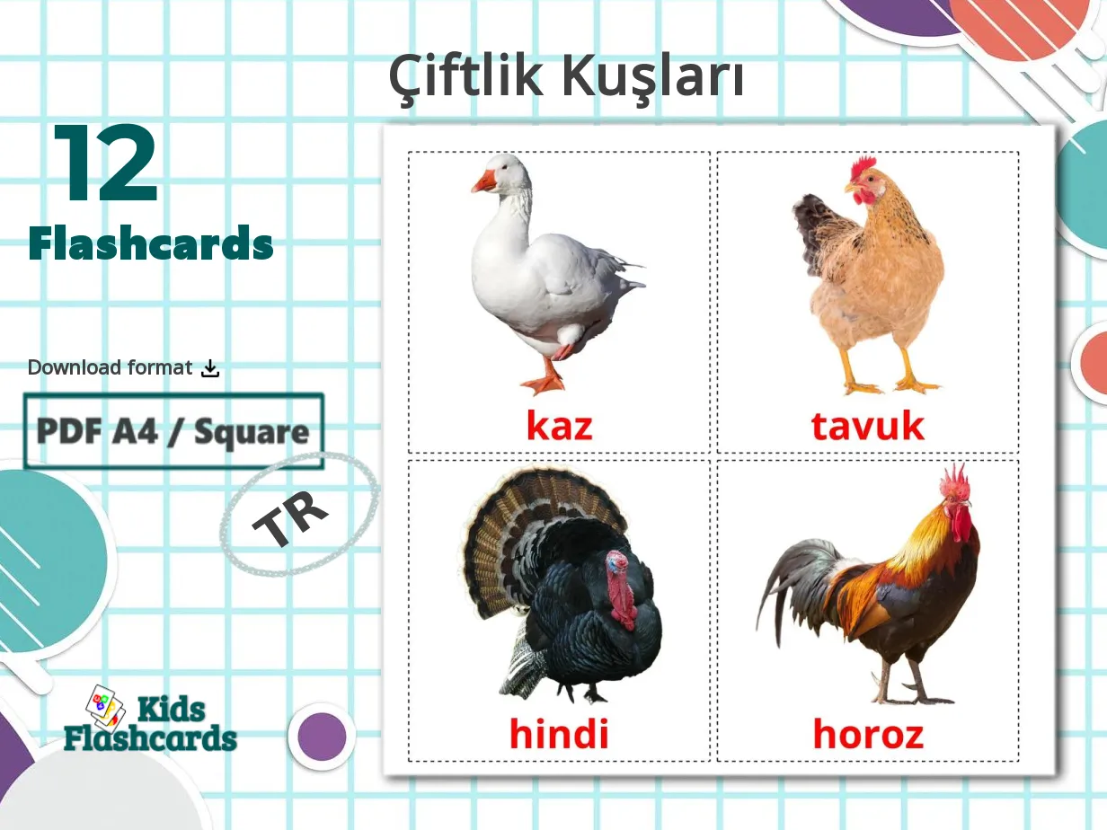 12 Printable Farm birds Flashcards in Turkish (Free PDF)