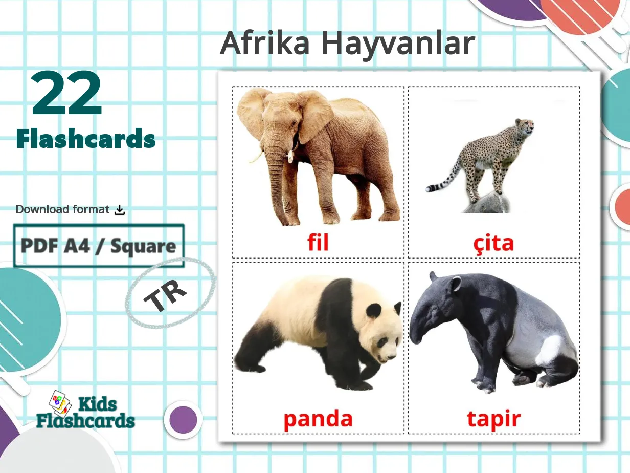 22 Printable Jungle animals Flashcards in Turkish (Free PDF)
