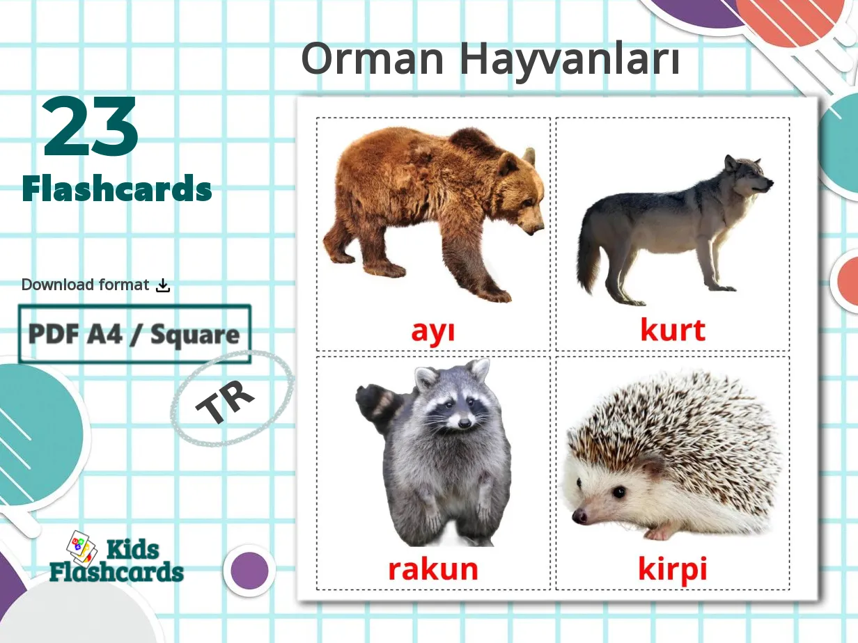 23 Printable Forest animals Flashcards in Turkish (Free PDF)