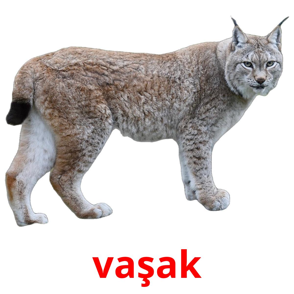23 Printable Forest animals Flashcards in Turkish (Free PDF)
