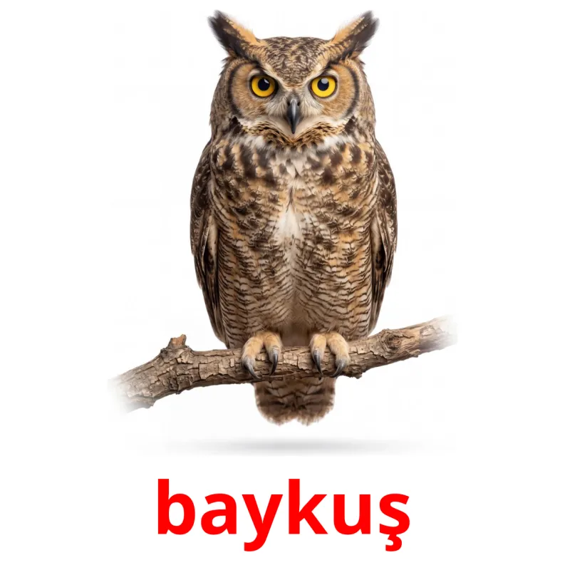 134 FREE Animals Flashcards in Turkish | 4 Printable PDFs