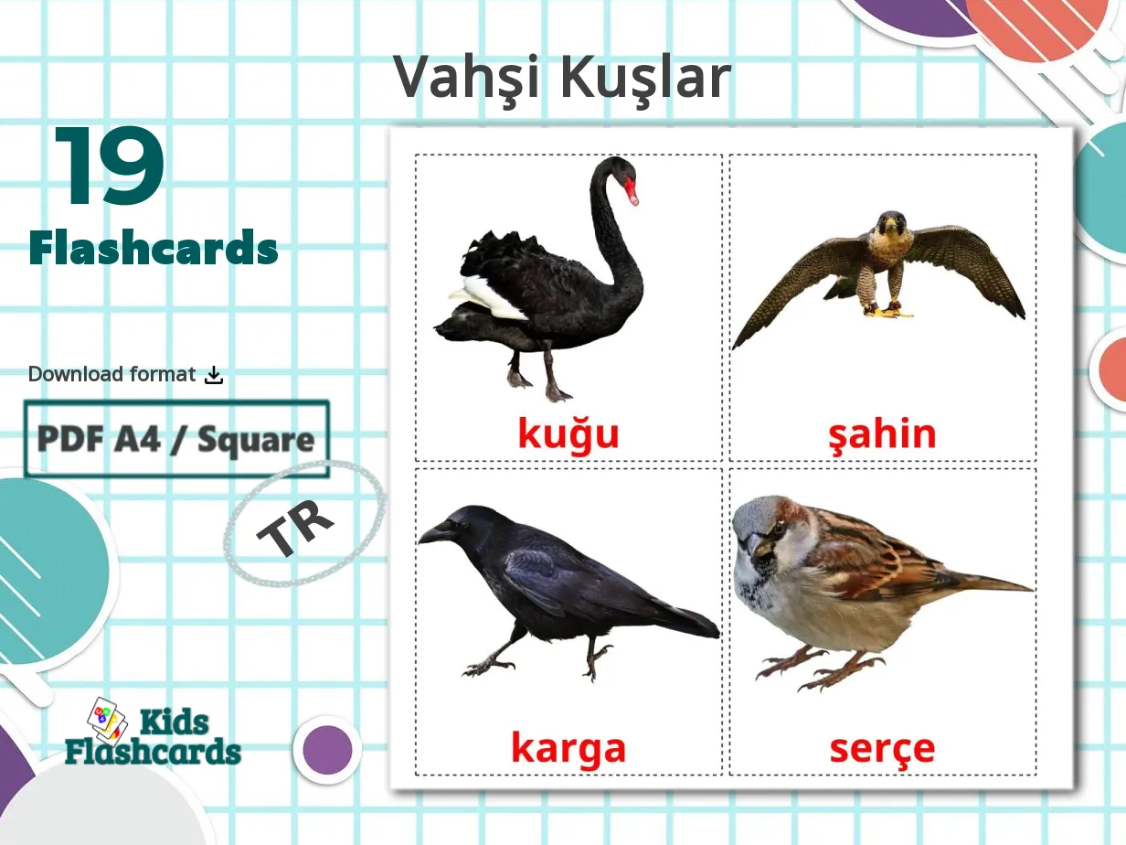 19 Printable Wild birds Flashcards in Turkish (Free PDF)