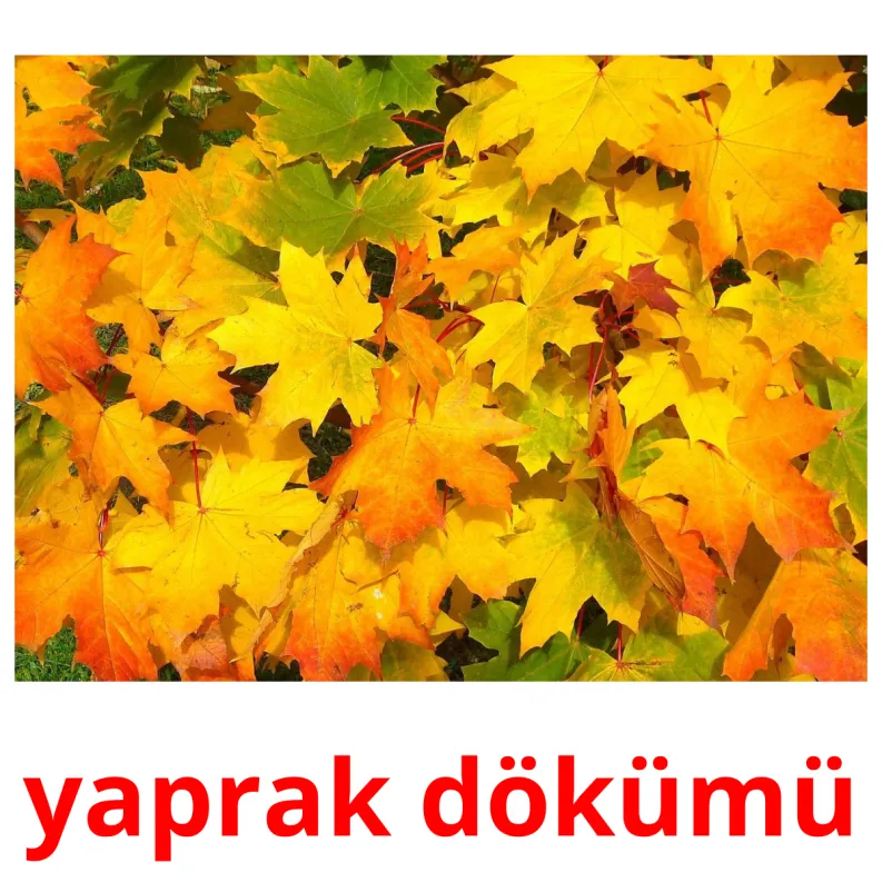 31 FREE Weather Flashcards in PDF | Turkish Pictures