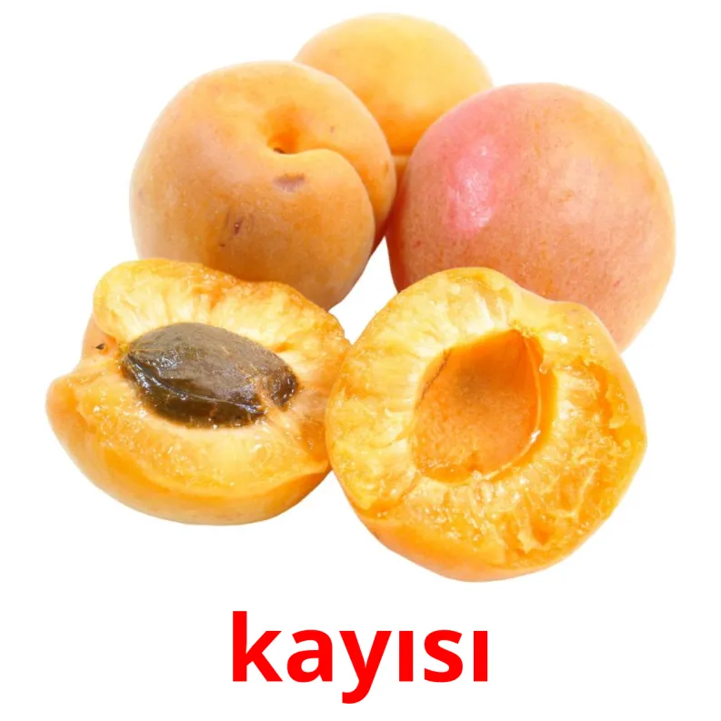 20 FREE Fruits Flashcards | PDF | Turkish Words