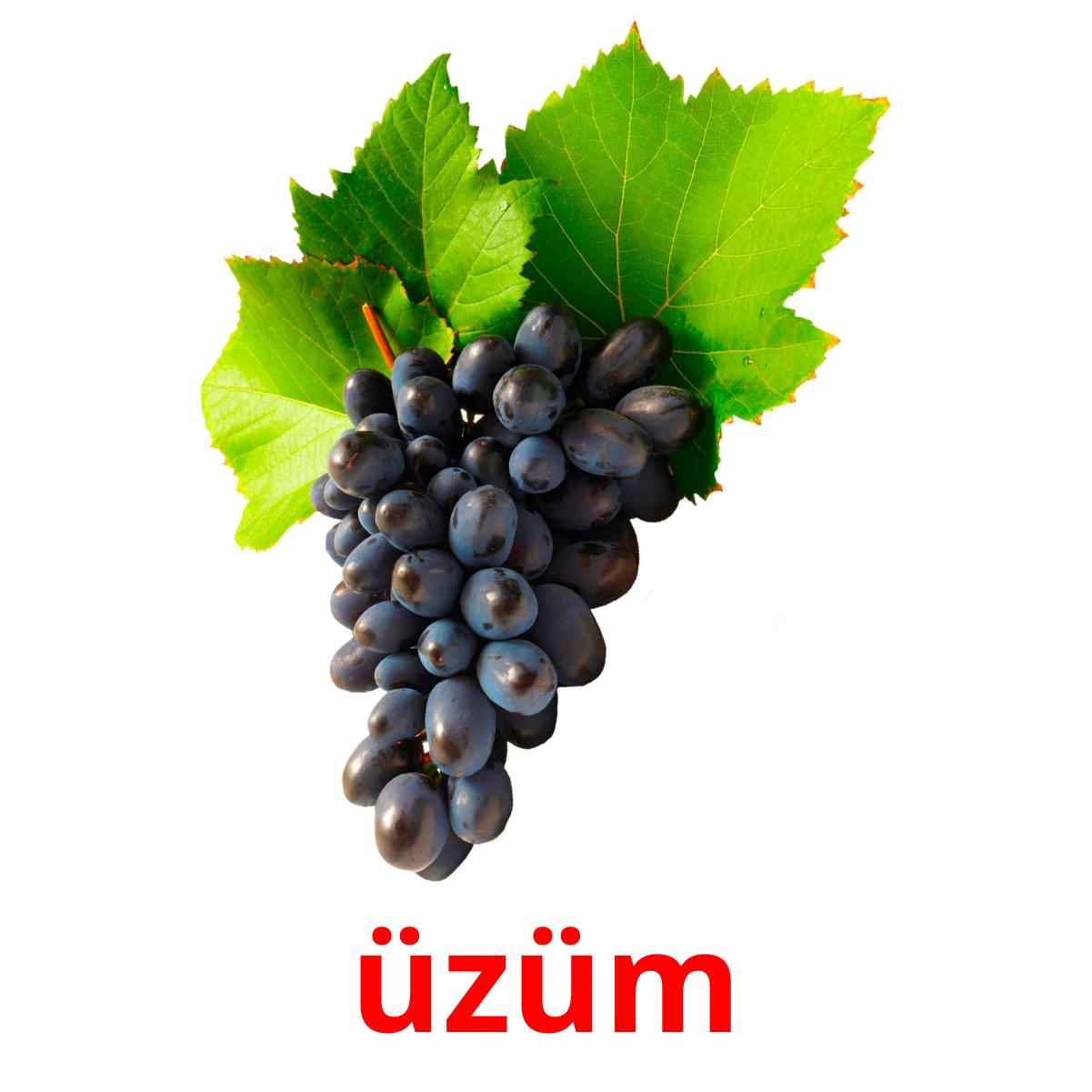 21 Printable Fruits Flashcards in Turkish (Free PDF)