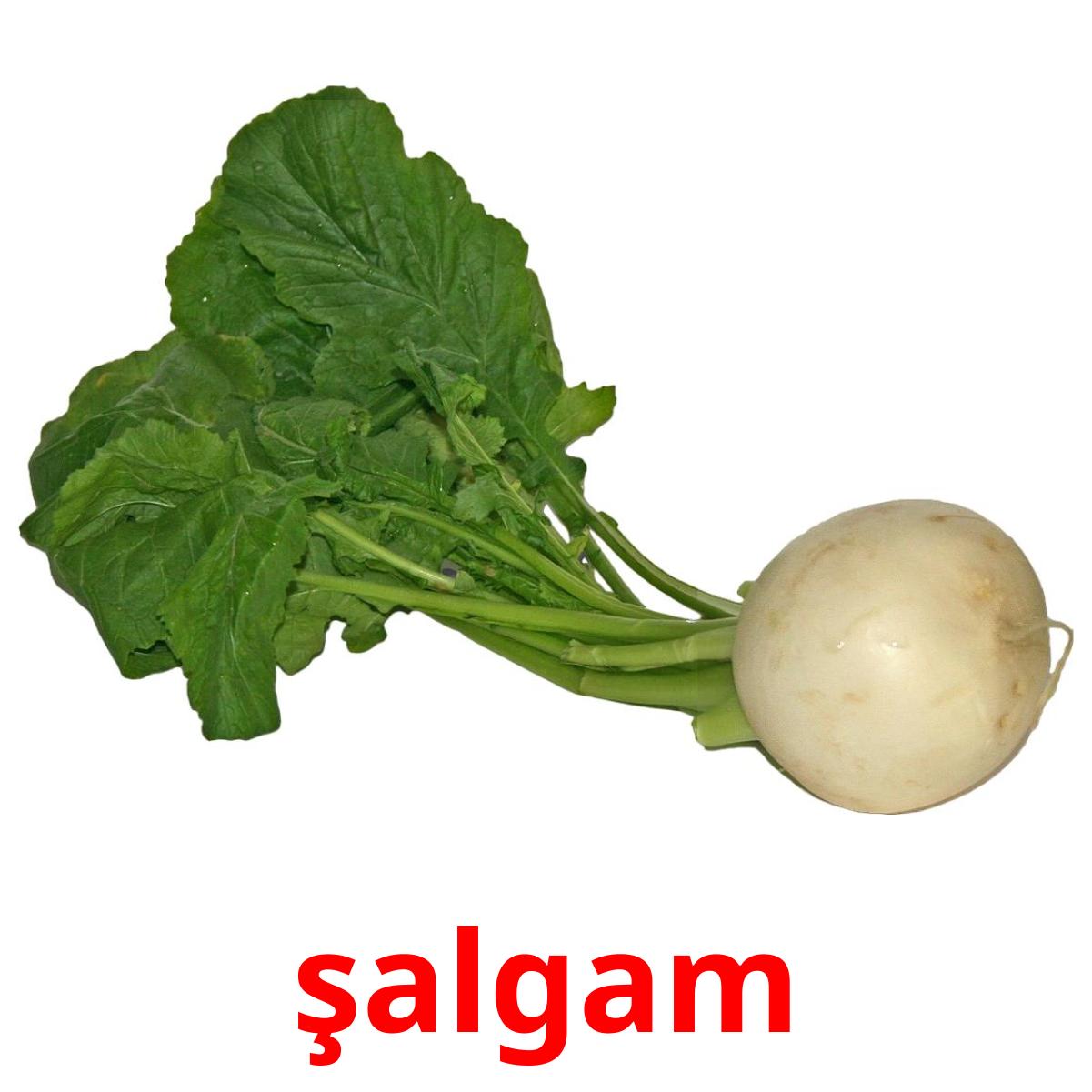 30 Printable Vegetables Flashcards in Turkish (Free PDF)