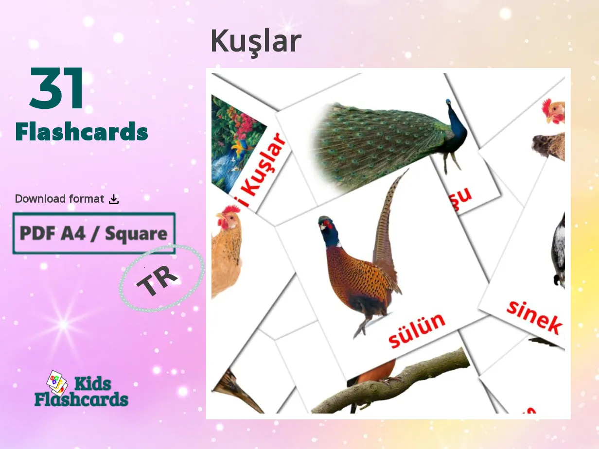 31 FREE Turkish Birds Flashcards | PDF