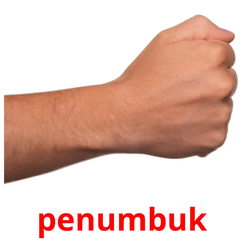 26 FREE Body Parts Flashcards | PDF | Malay Words