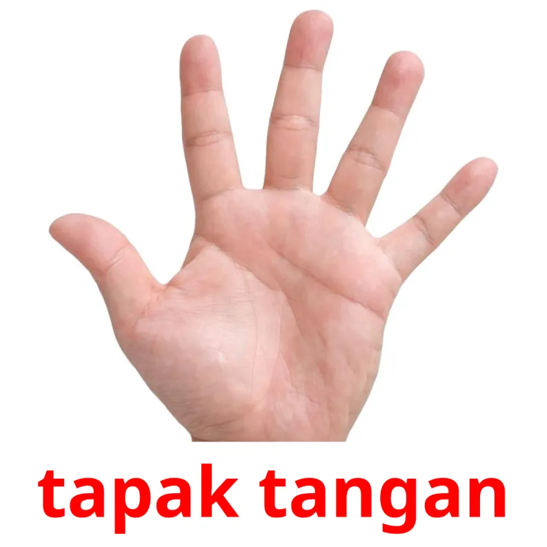 26 FREE Body Parts Flashcards | PDF | Malay Words