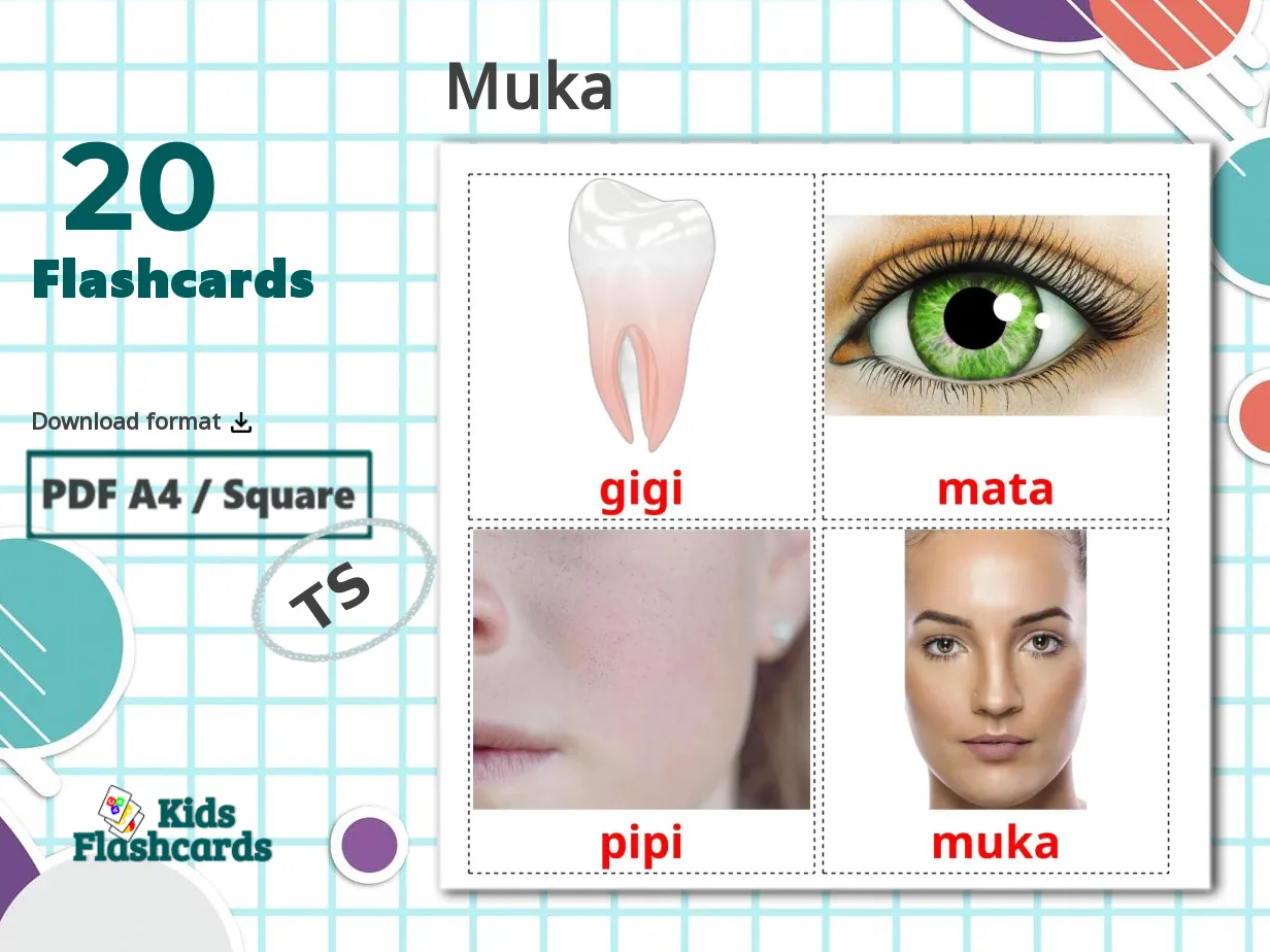 20 Printable Face Flashcards in Malay (Free PDF)