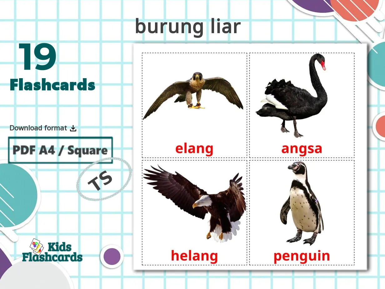 19 Printable Wild birds Flashcards in Malay (Free PDF)