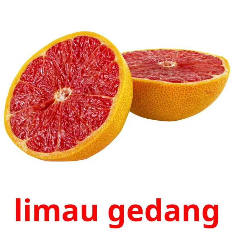 20 GRATIS Fruit Flashcards in 4 PDF formaten | Malay Afbeeldingen