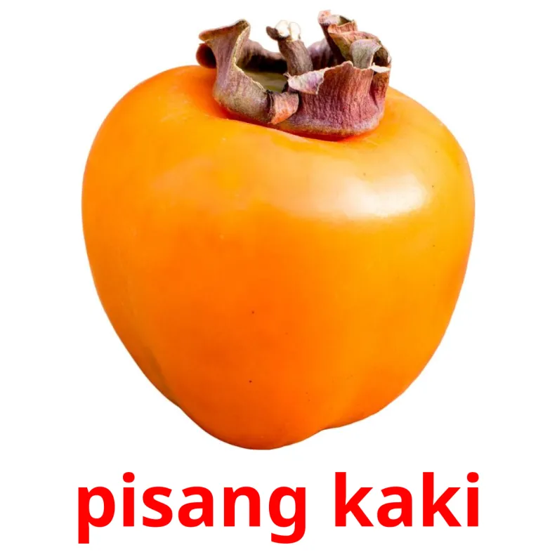 20 FREE Fruits Flashcards | PDF | Malay Words