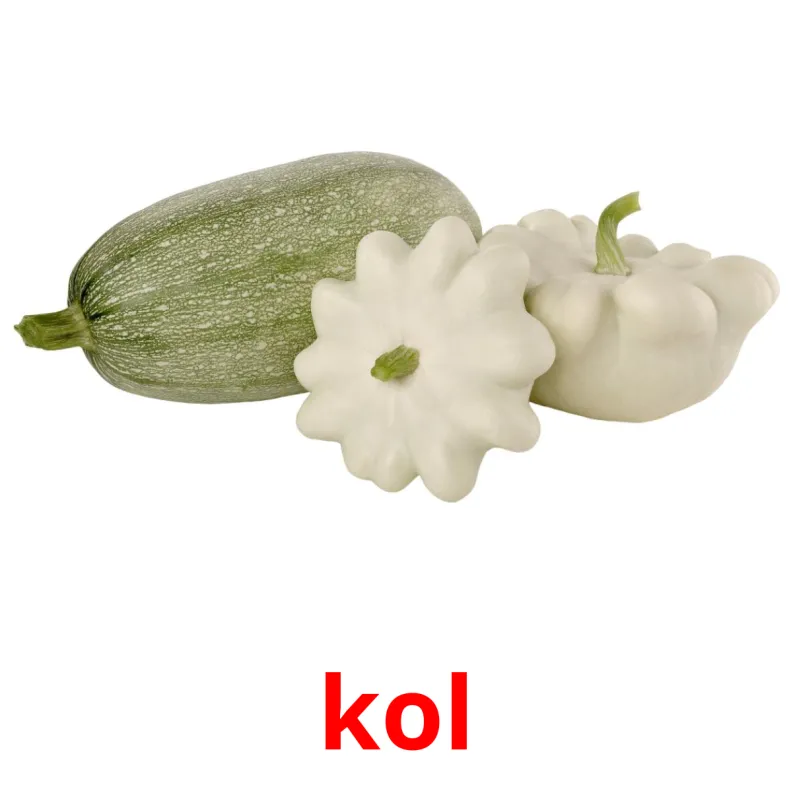 29 FREE Vegetables Flashcards | PDF | Malay Words