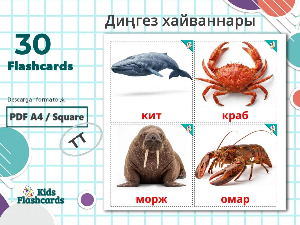 30 Tarjetas de Aprendizaje de Animales Marinos GRATIS en PDF | Imágenes ...