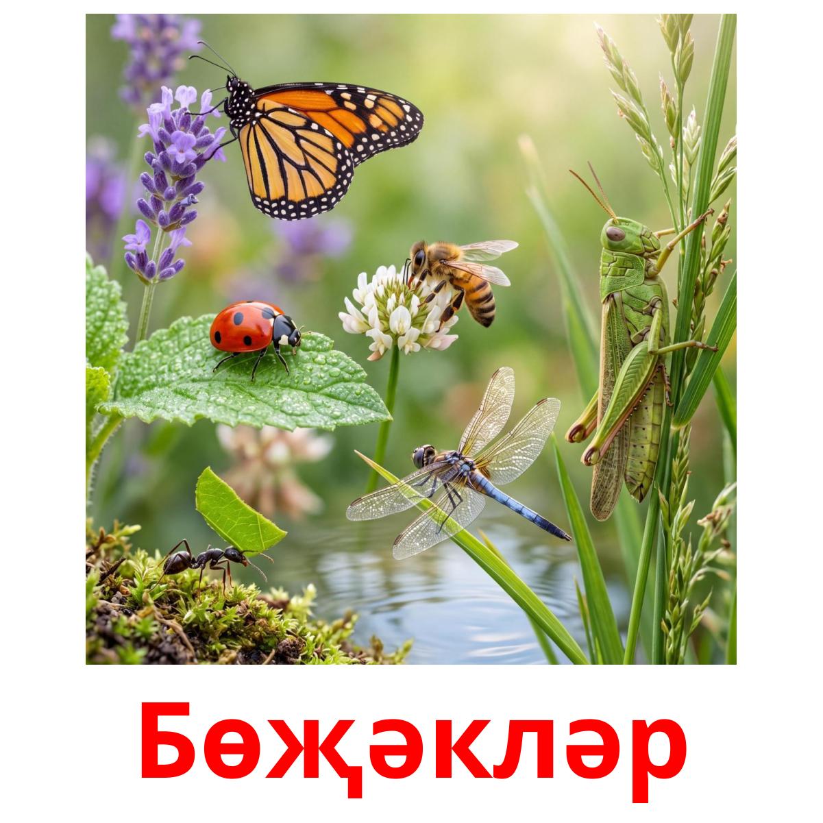24 Tarjetas de Aprendizaje de Insectos GRATIS en PDF | Imágenes en Tártaro