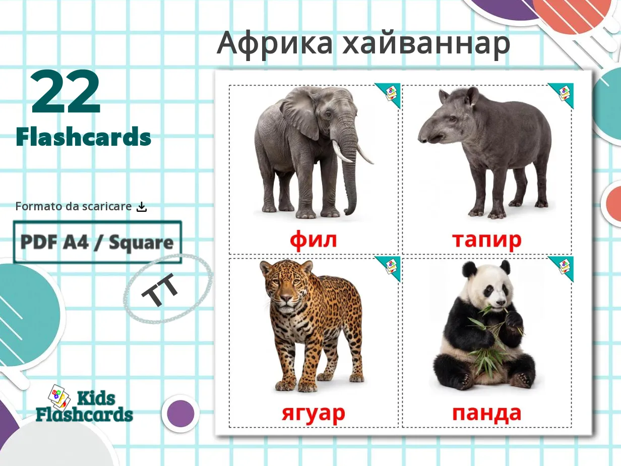 22 Flashcard GRATUITE sui Animali della giungla in 4 Formati PDF ...