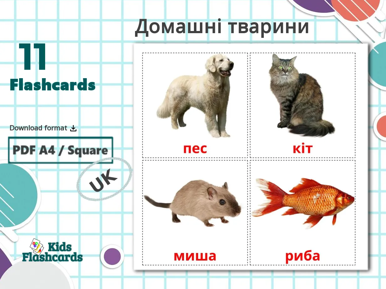 11 Printable Domestic animals Flashcards in Ukrainian (Free PDF)