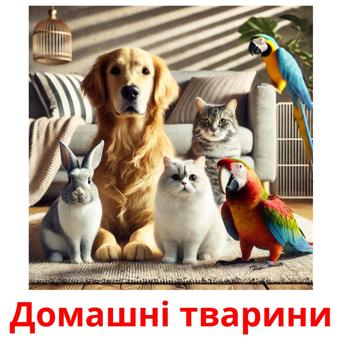 11 Printable Domestic animals Flashcards in Ukrainian (Free PDF)