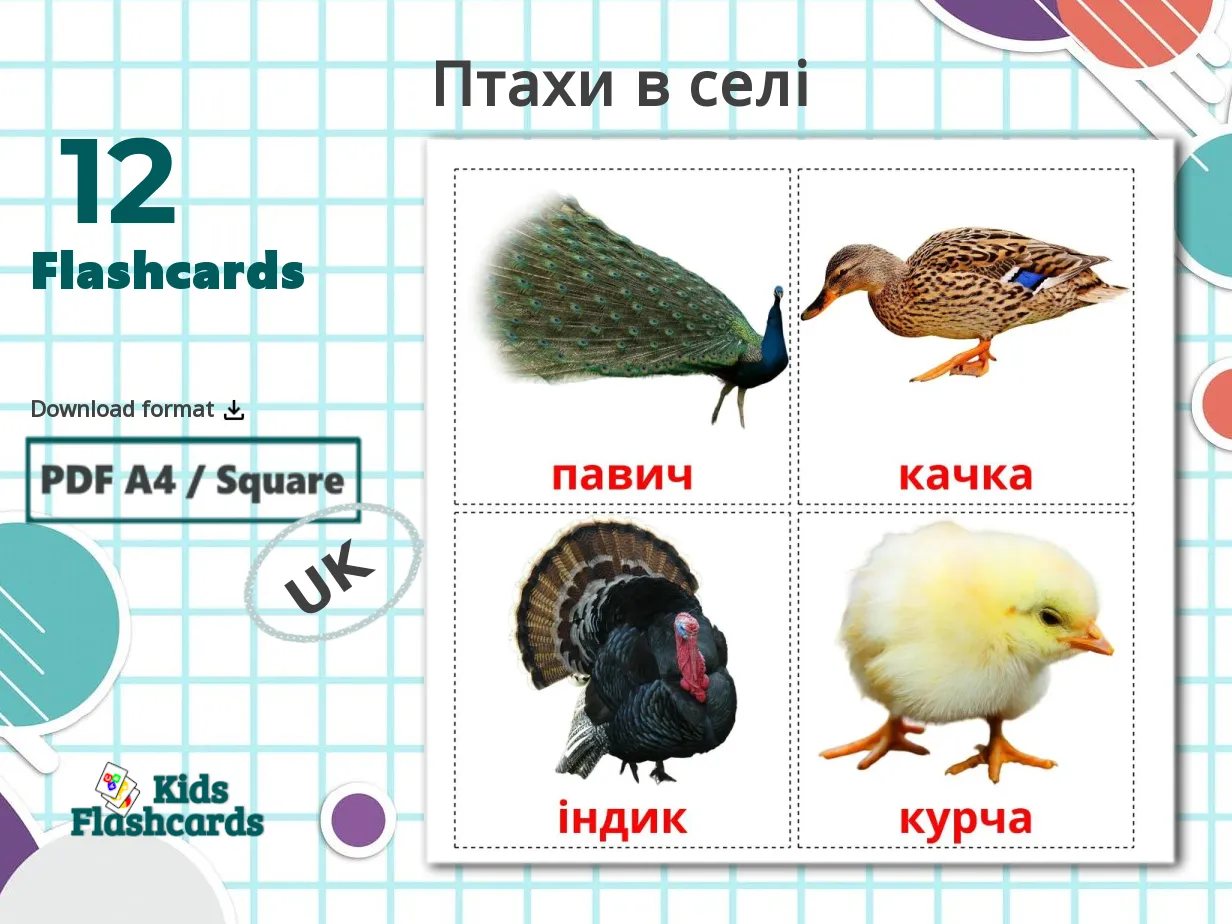 12 Printable Farm birds Flashcards in Ukrainian (Free PDF)