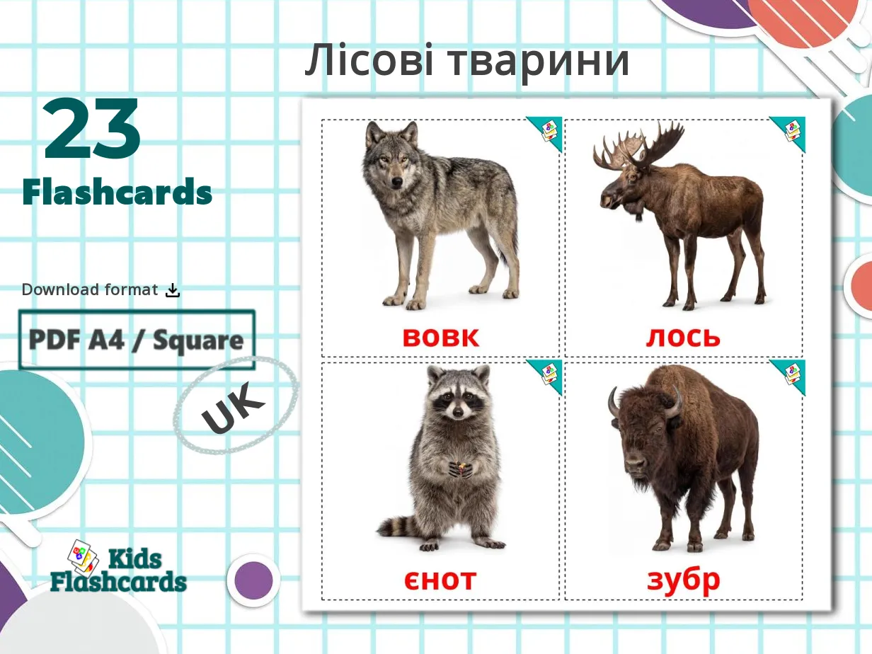 23 Printable Forest animals Flashcards in Ukrainian (Free PDF)