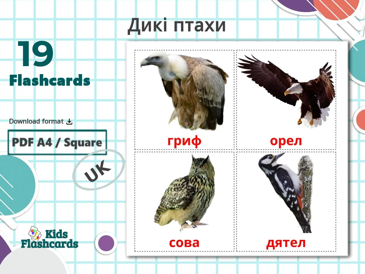 19 Printable Wild birds Flashcards in Ukrainian (Free PDF)