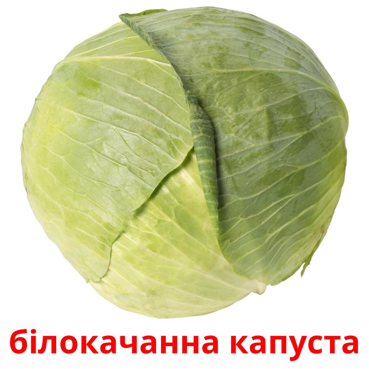 63 FREE Ukrainian Food Flashcards | PDF