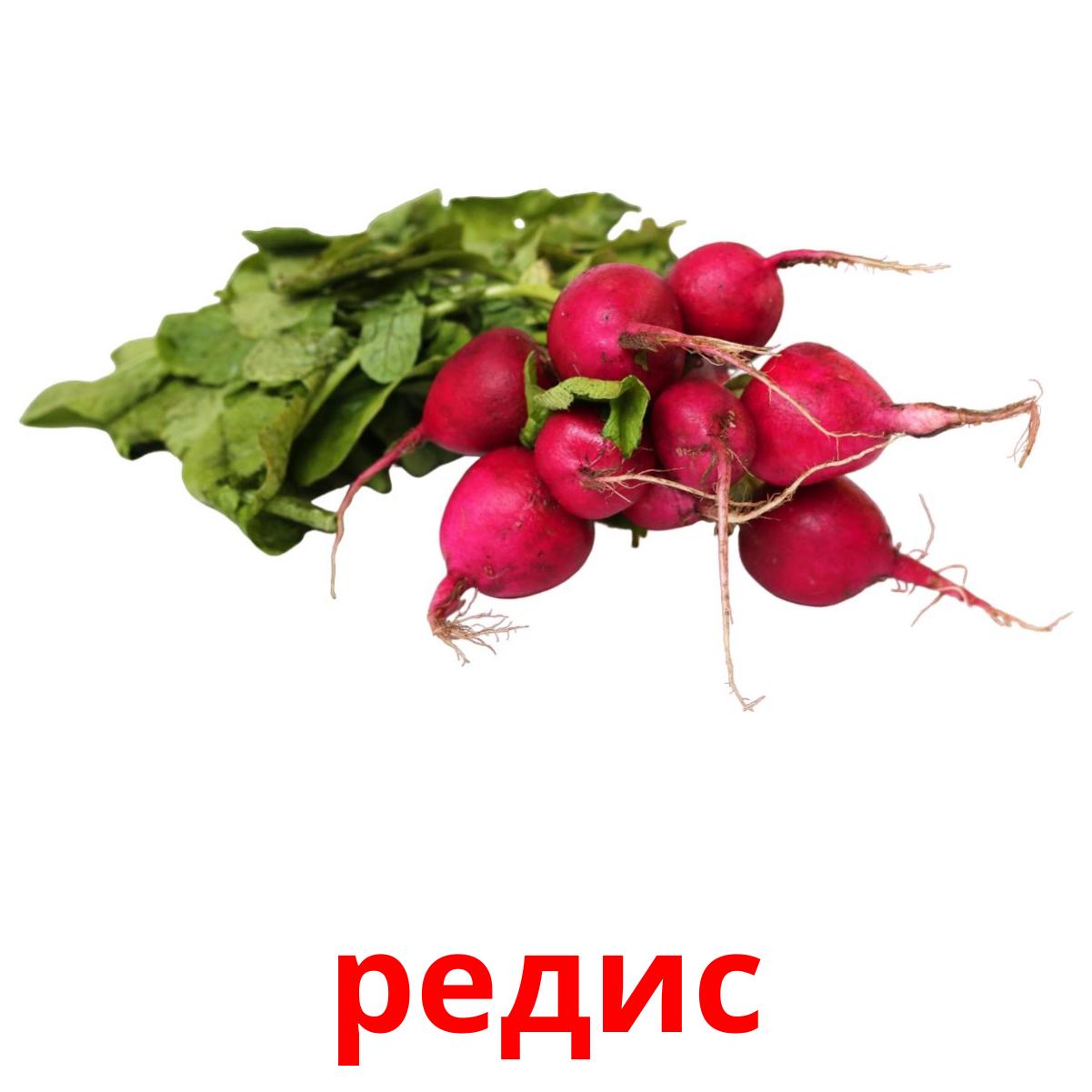 30 Printable Vegetables Flashcards in Ukrainian (Free PDF)