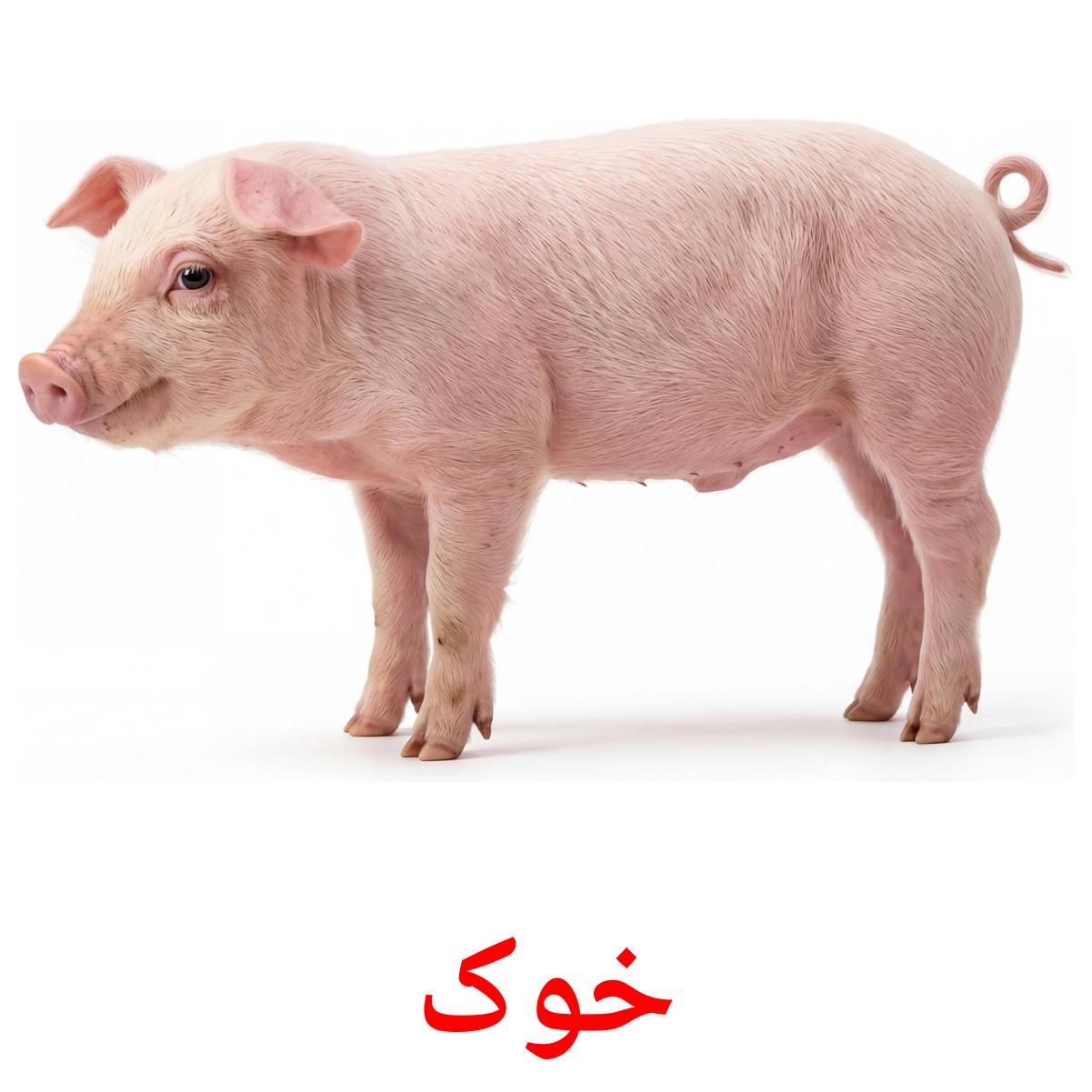 16 Printable Farm animals Flashcards in Urdu (Free PDF)