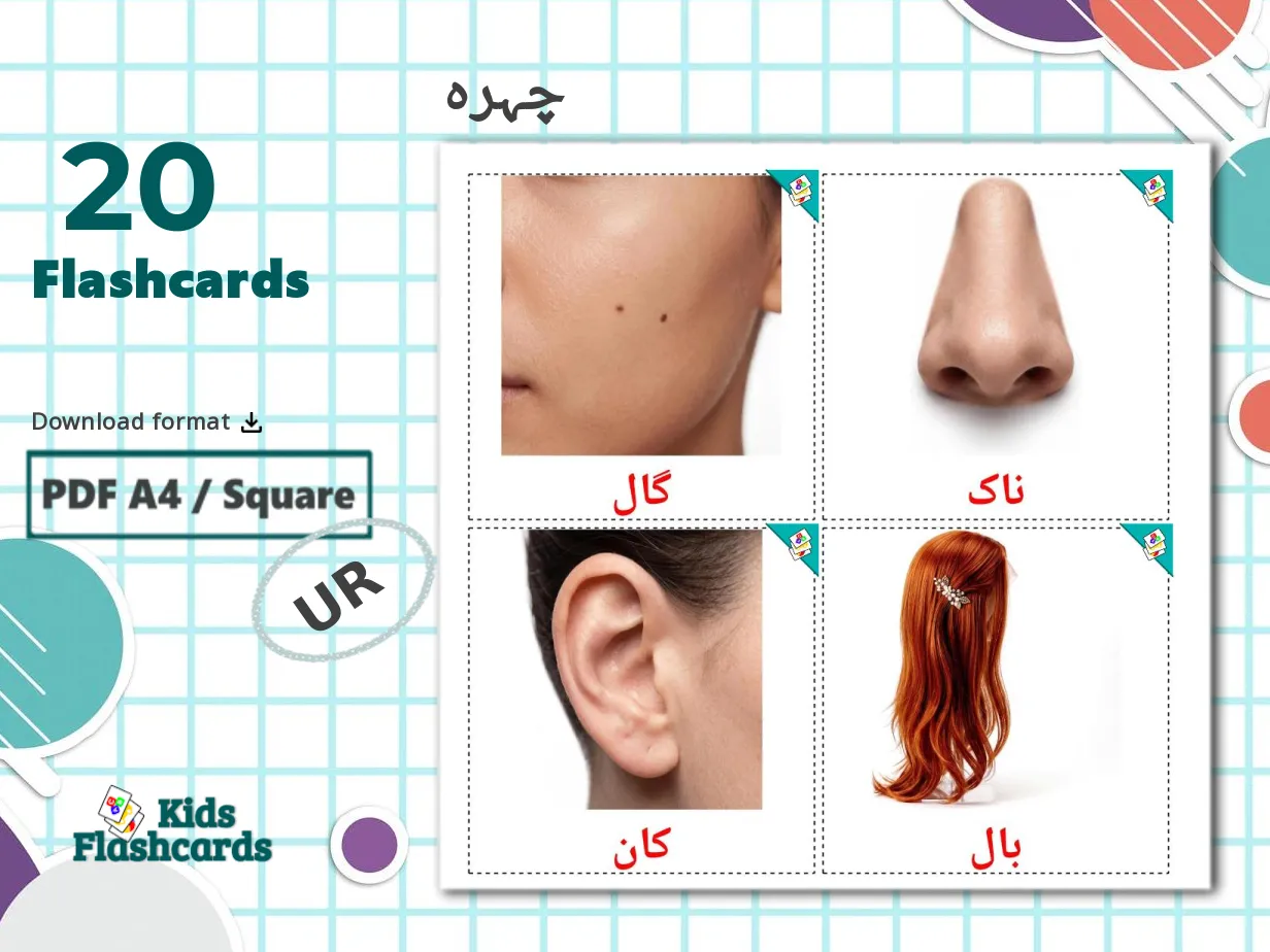 20 Printable Face Flashcards in Urdu (Free PDF)