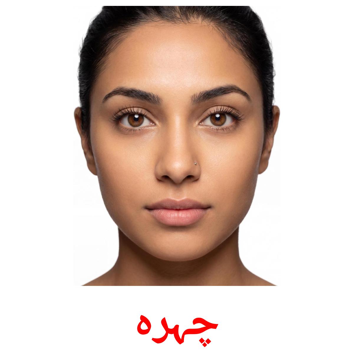 20 Printable Face Flashcards in Urdu (Free PDF)