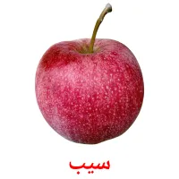 21 Printable Fruits Flashcards in Urdu (Free PDF)