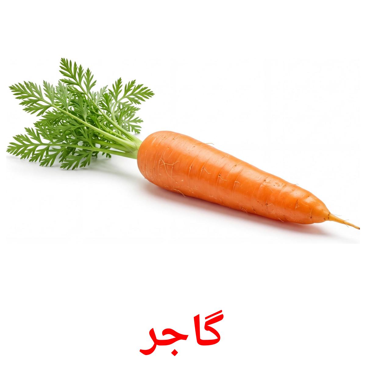 30 Printable Vegetables Flashcards in Urdu (Free PDF)