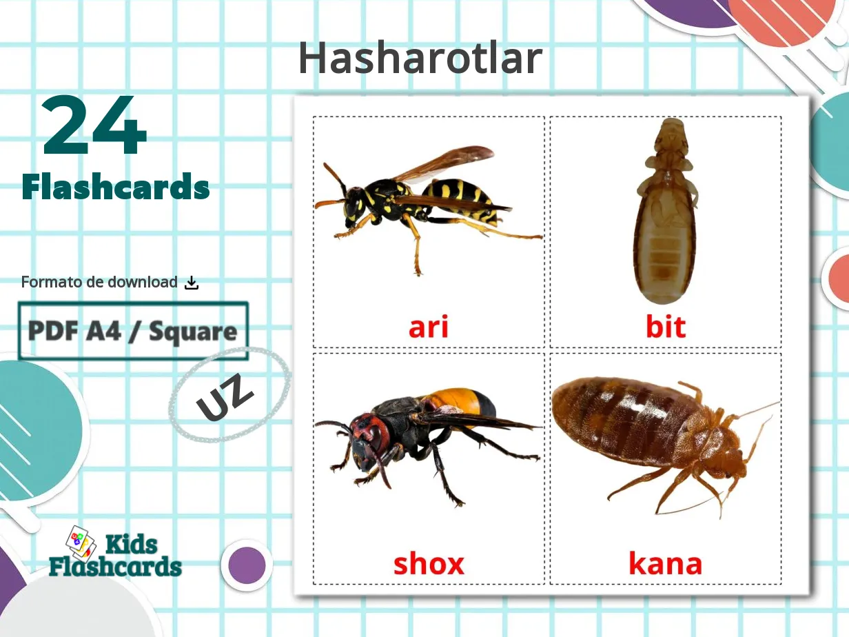 24 Cartões linguagem de Insetos GRÁTIS em 4 formatos PDF | Uzbek Pictures